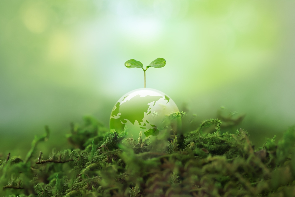 Top Sustainable Gear Brands for Eco-Friendly Hiking in 2026
